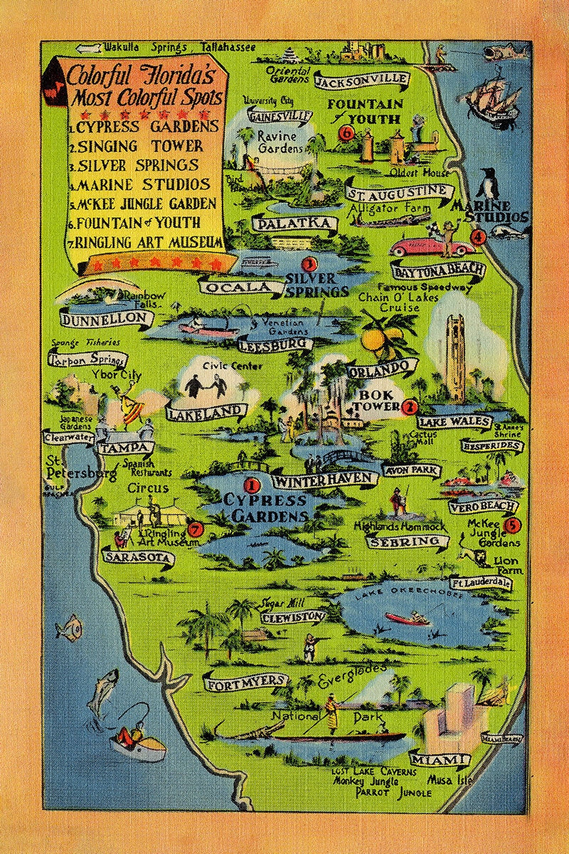 1960 Cartoon Map of Florida – Genealogical Surveyor