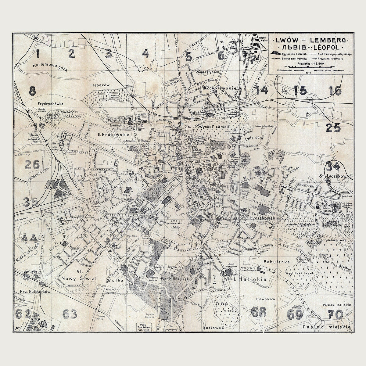 1919 Town Map of Lemberg Ukraine Lwow Galicia – Genealogical Surveyor